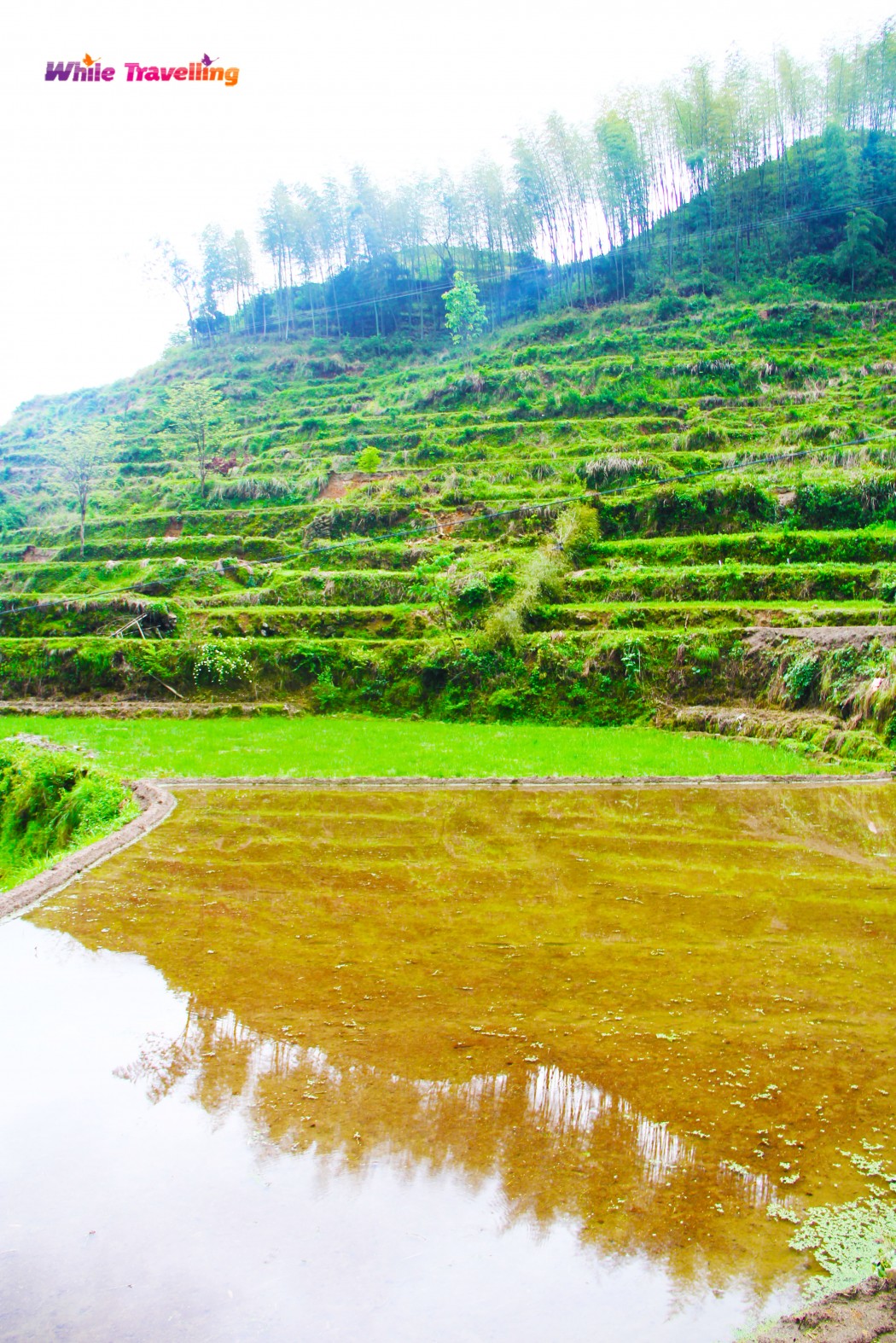 Peaceful Clouds,Yunhe Rice Terraces | While Travelling