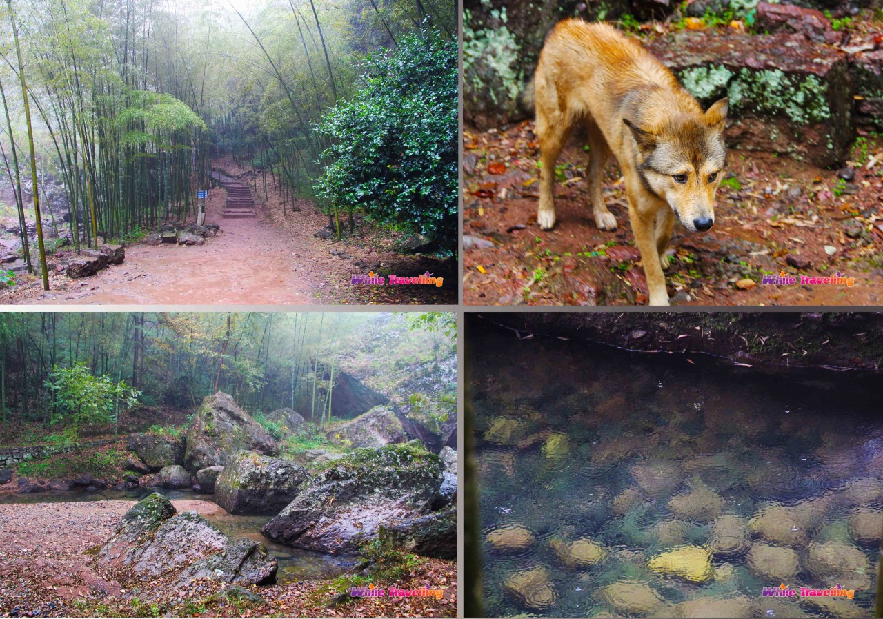 Xinchang'ın gizemli vadileri | While Travelling